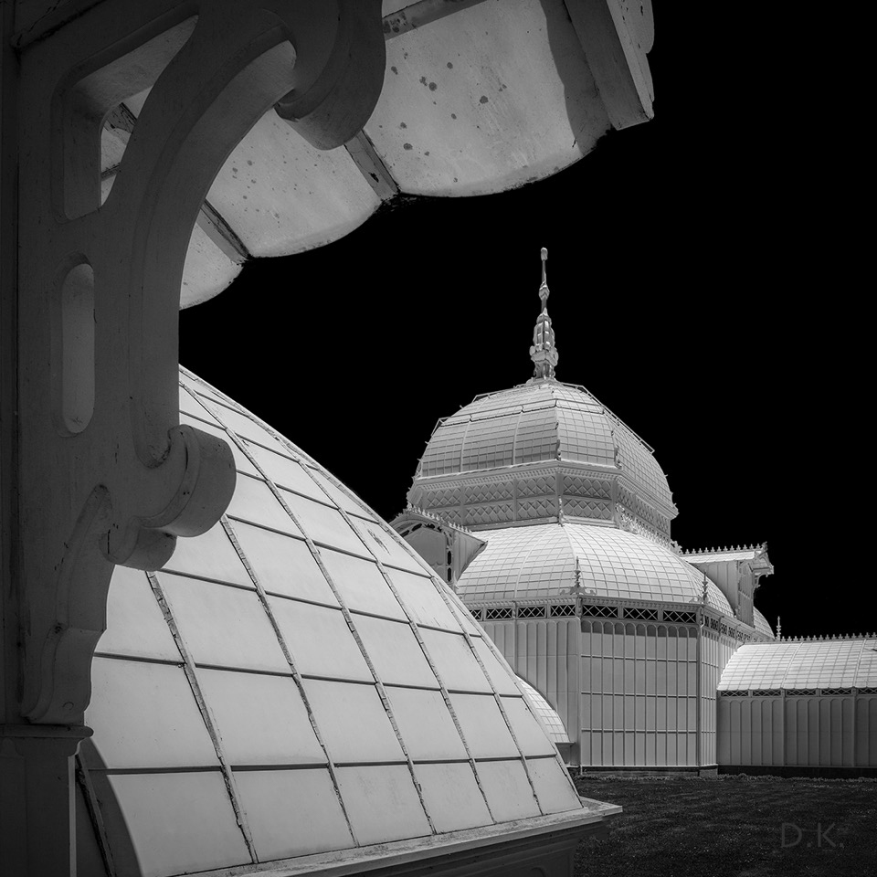 Donald Kinney – Harvey Milk Photo Center