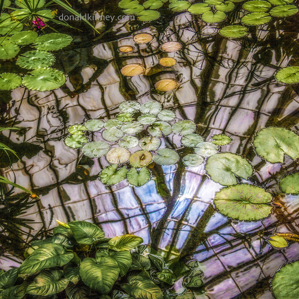 Donald Kinney – Harvey Milk Photo Center