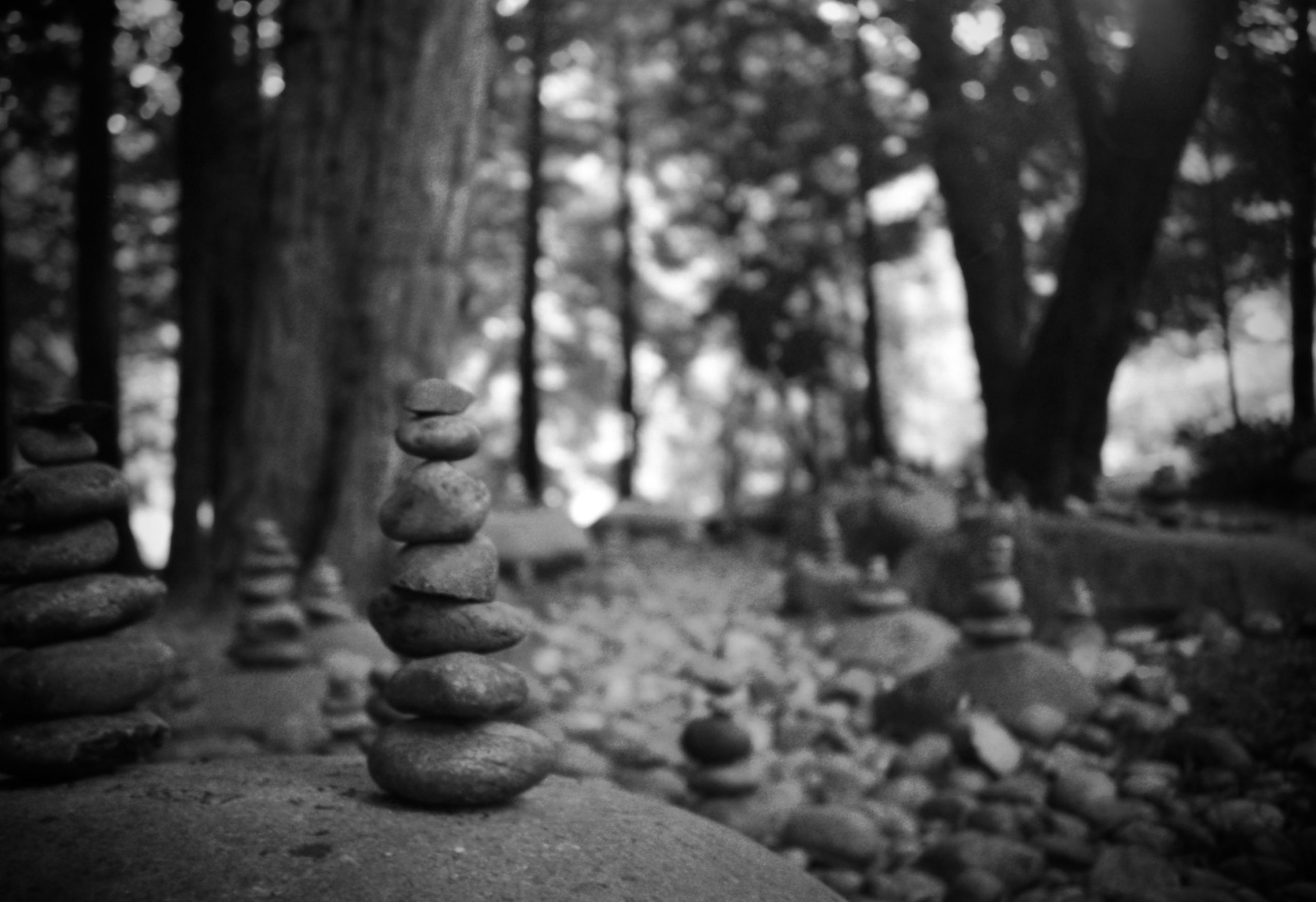 Thomas Galli-Magerl – Harvey Milk Photo Center