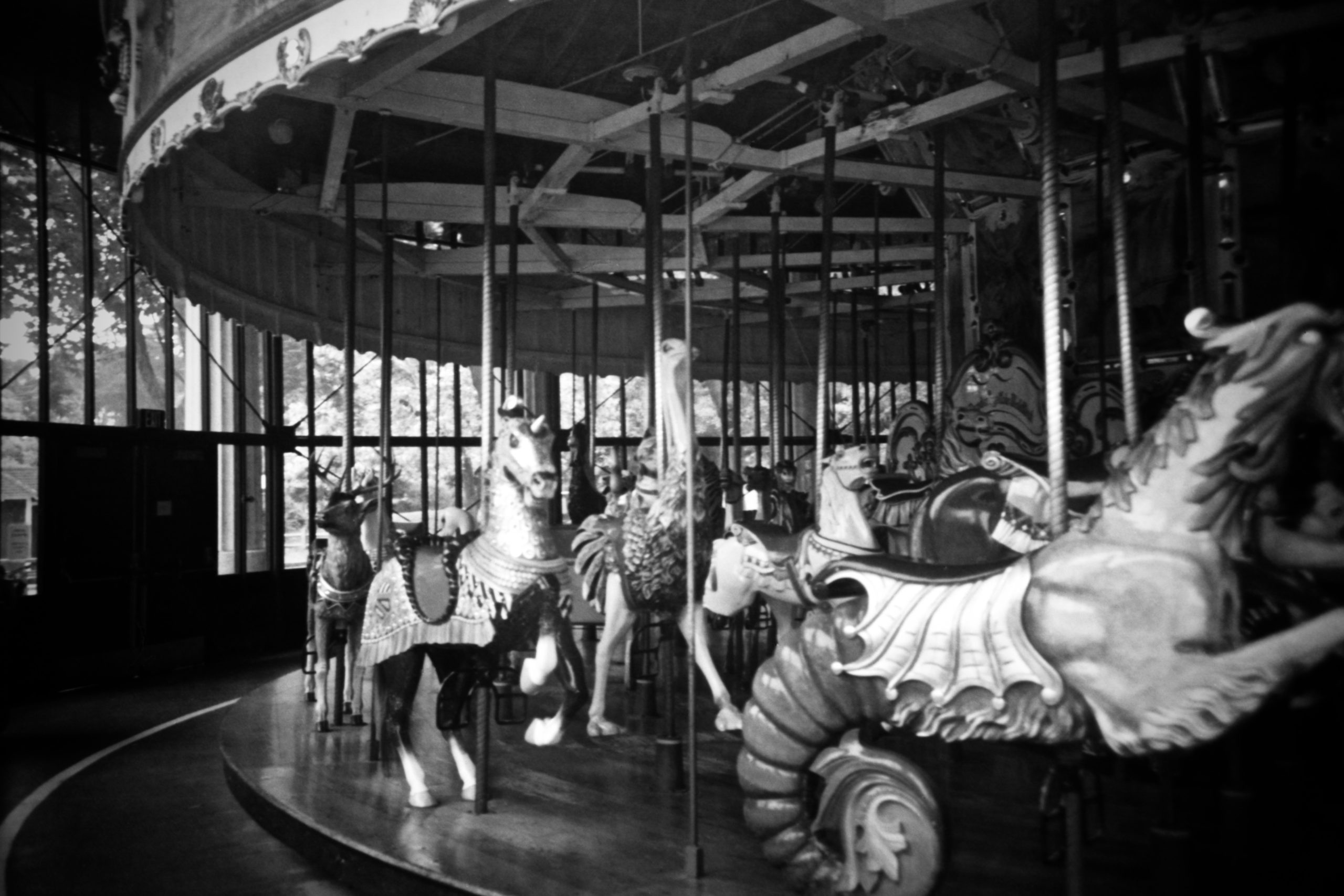 Thomas Galli-Magerl – Harvey Milk Photo Center