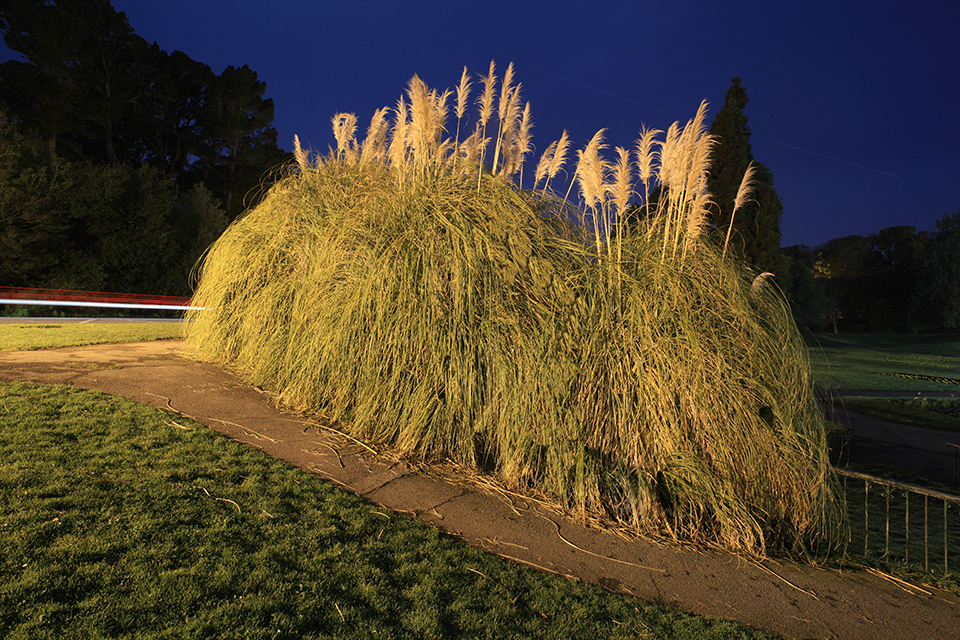 Tim Baskerville – Harvey Milk Photo Center