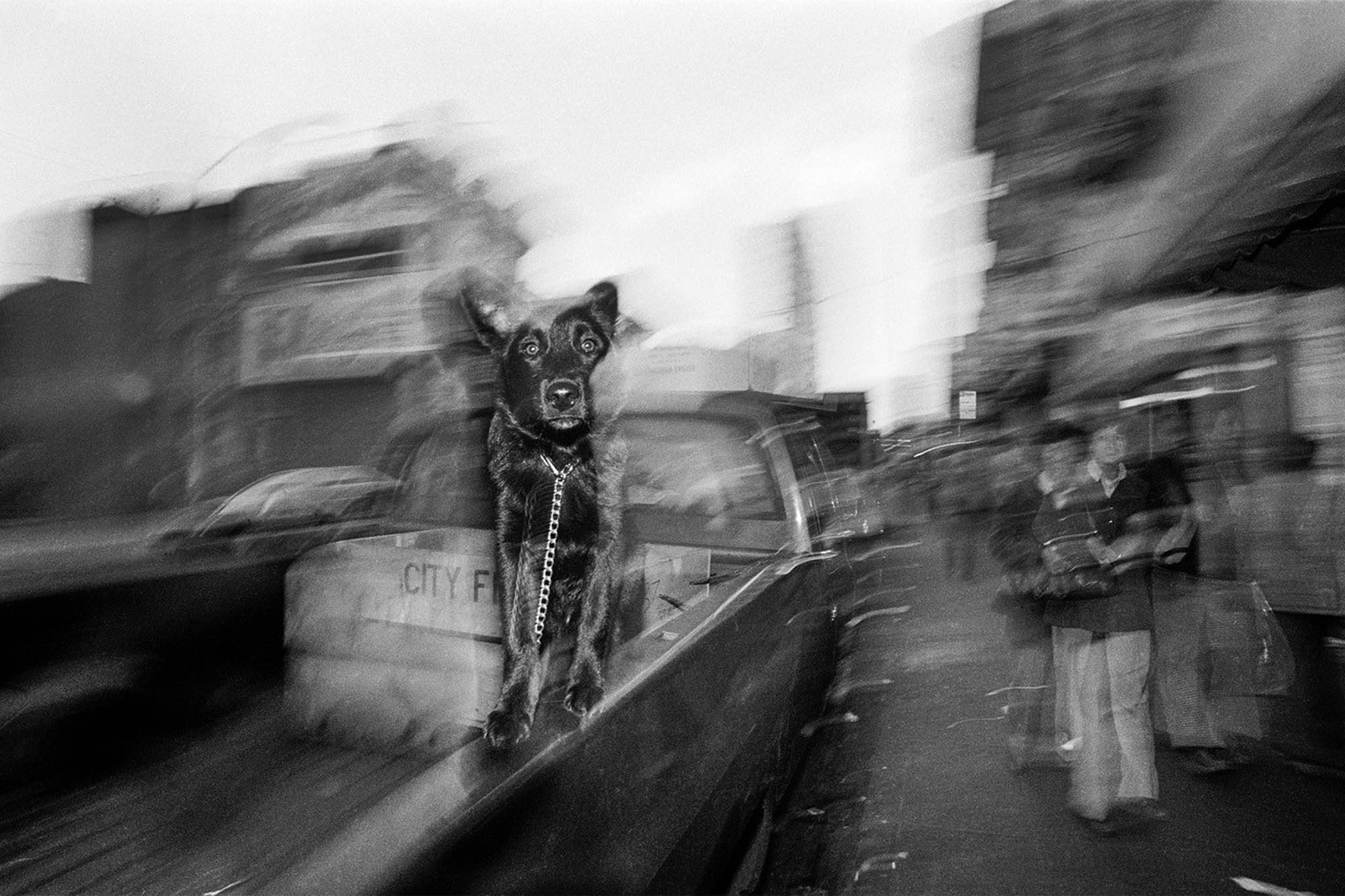 In Conversation with Ed Kashi – Harvey Milk Photo Center